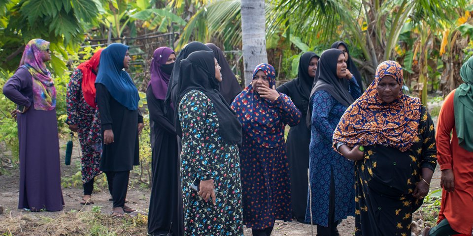 Agriculture Training Program Conducted in L. Dhanbidhoo - Prime Maldives