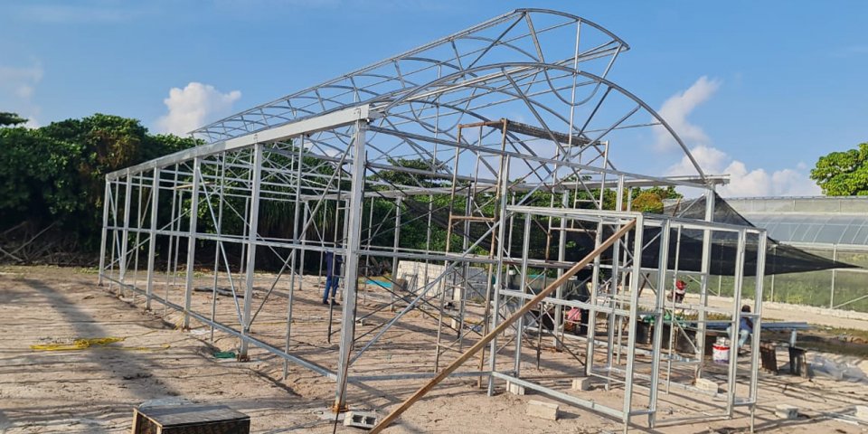 Prime Fertilizers Maldives Leads Agricultural Innovation with ...